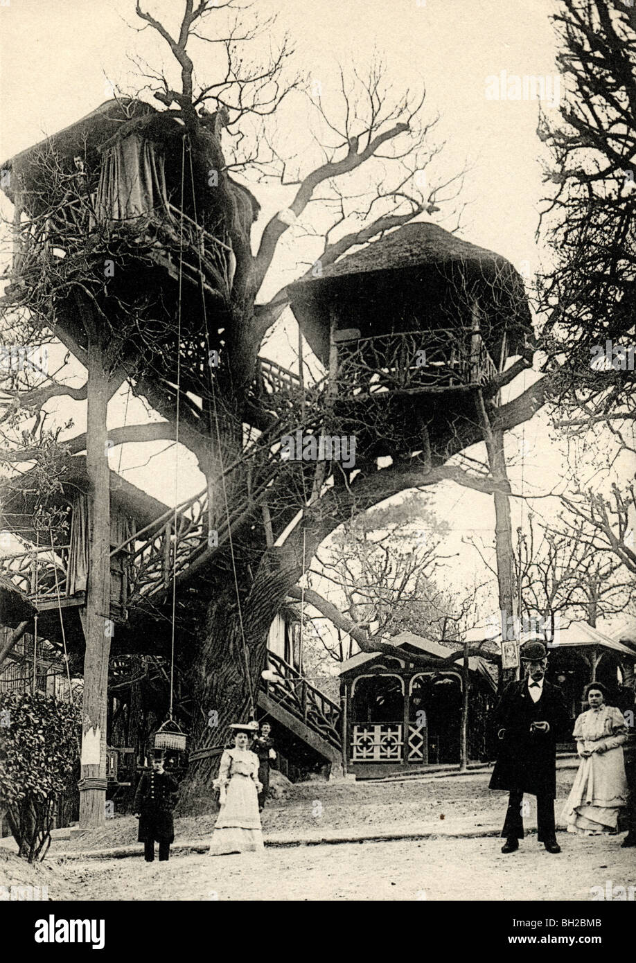 Rustic Tree House Complex in France Stock Photo - Alamy