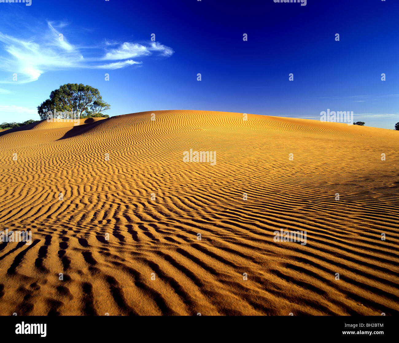 Perry Sandhills near Wentworth, North South Wales, Australia Stock ...