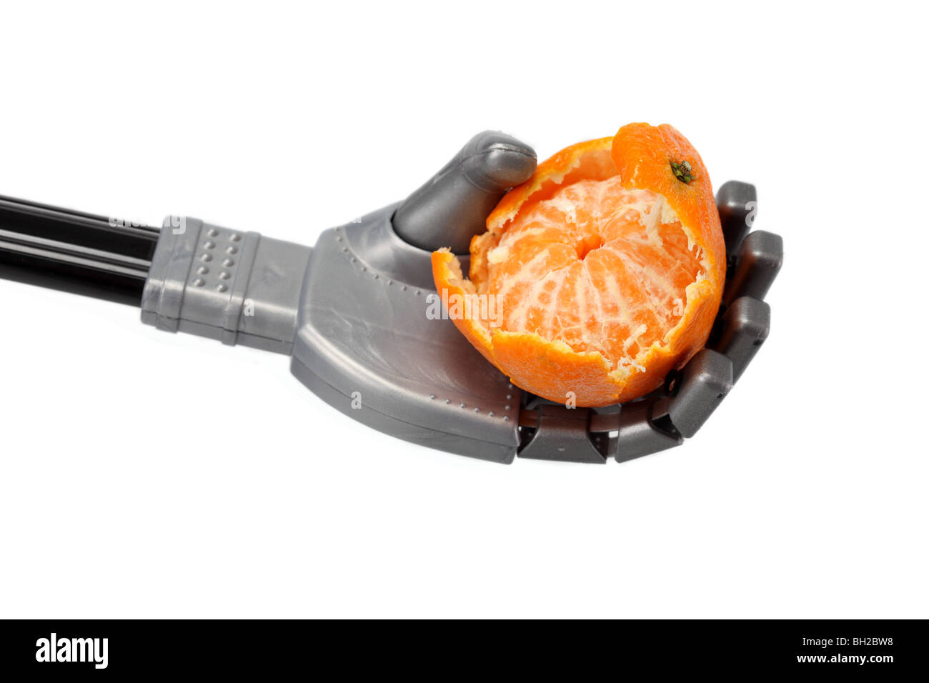 Mandarin Robot grab food hand arm fingers finger hold holding delicate ...