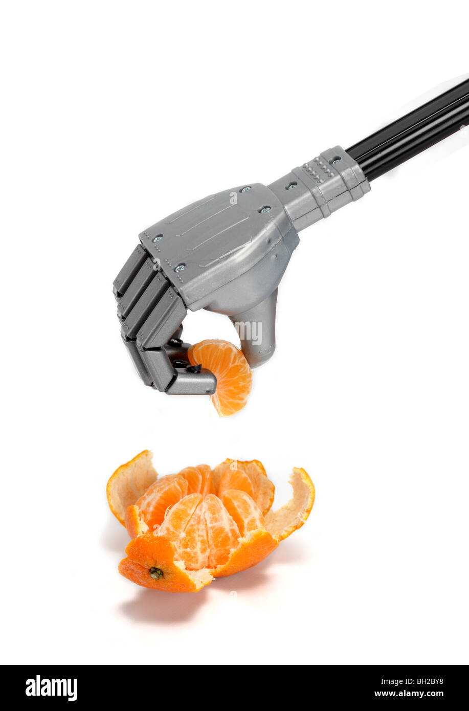 Human hand holding fruits Cut Out Stock Images & Pictures - Alamy