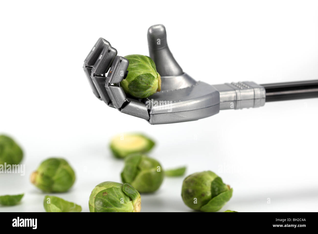 Brussels Sprouts Robot grab food hand arm fingers finger hold holding ...