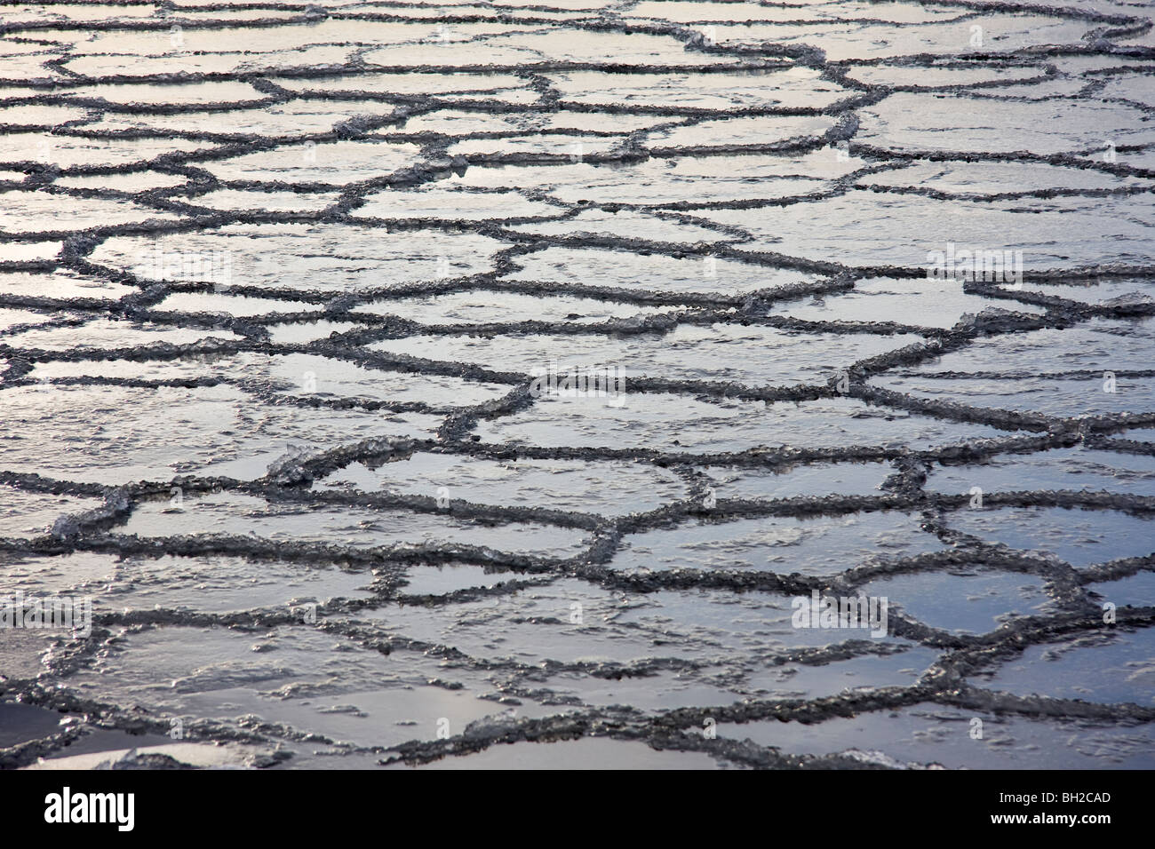 Pancake ice forming Stock Photo - Alamy