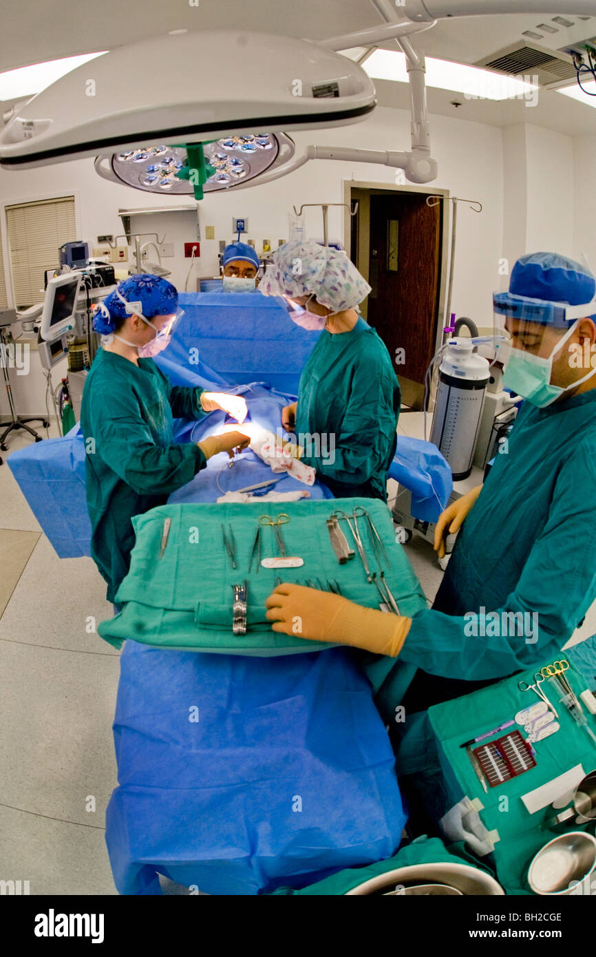 Doctor assistants High Resolution Stock Photography and Images - Alamy