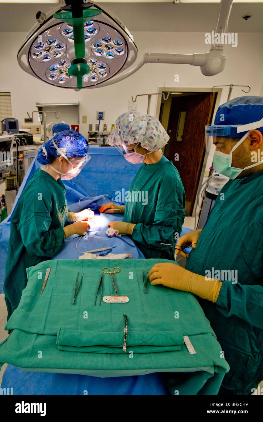 Doctor assistants hi-res stock photography and images - Alamy