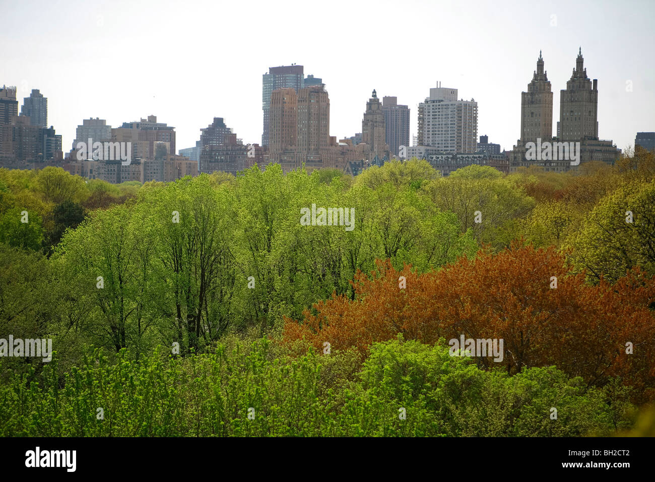 Central Park during spring season when cherry tree blossoms and ...