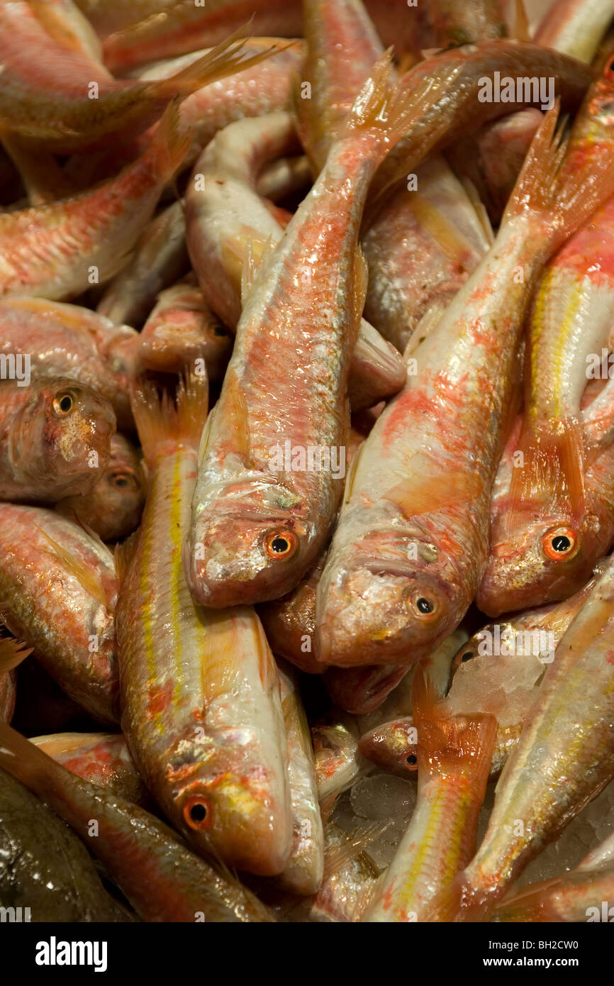 Red mullet fishmonger hi-res stock photography and images - Alamy