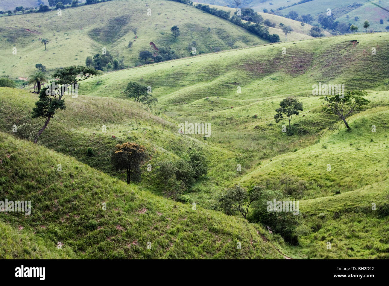 Brazil farm land hi-res stock photography and images - Alamy