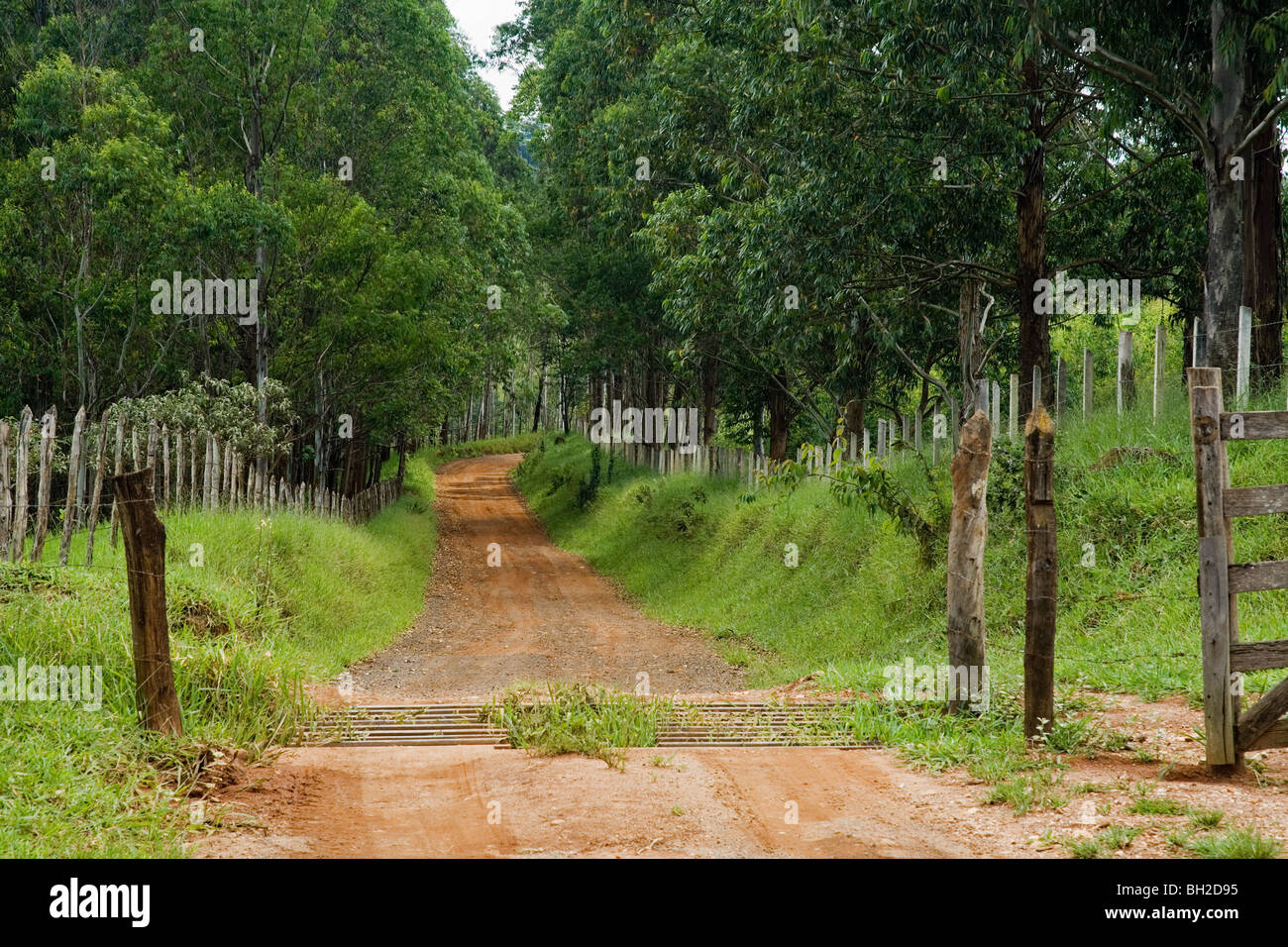 Brazil rural hi-res stock photography and images - Alamy
