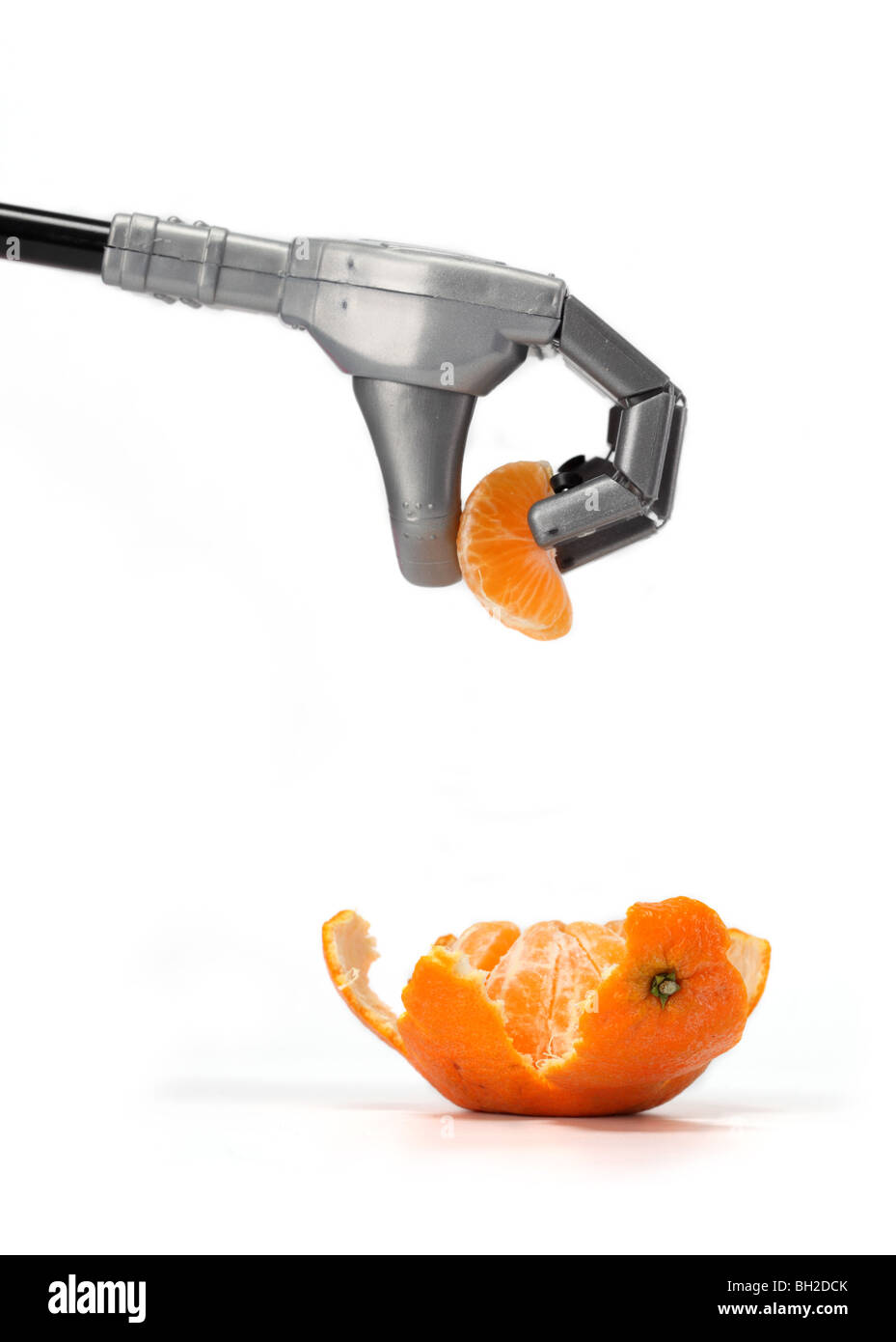 Mandarin Robot grab food hand arm fingers finger hold holding delicate ...