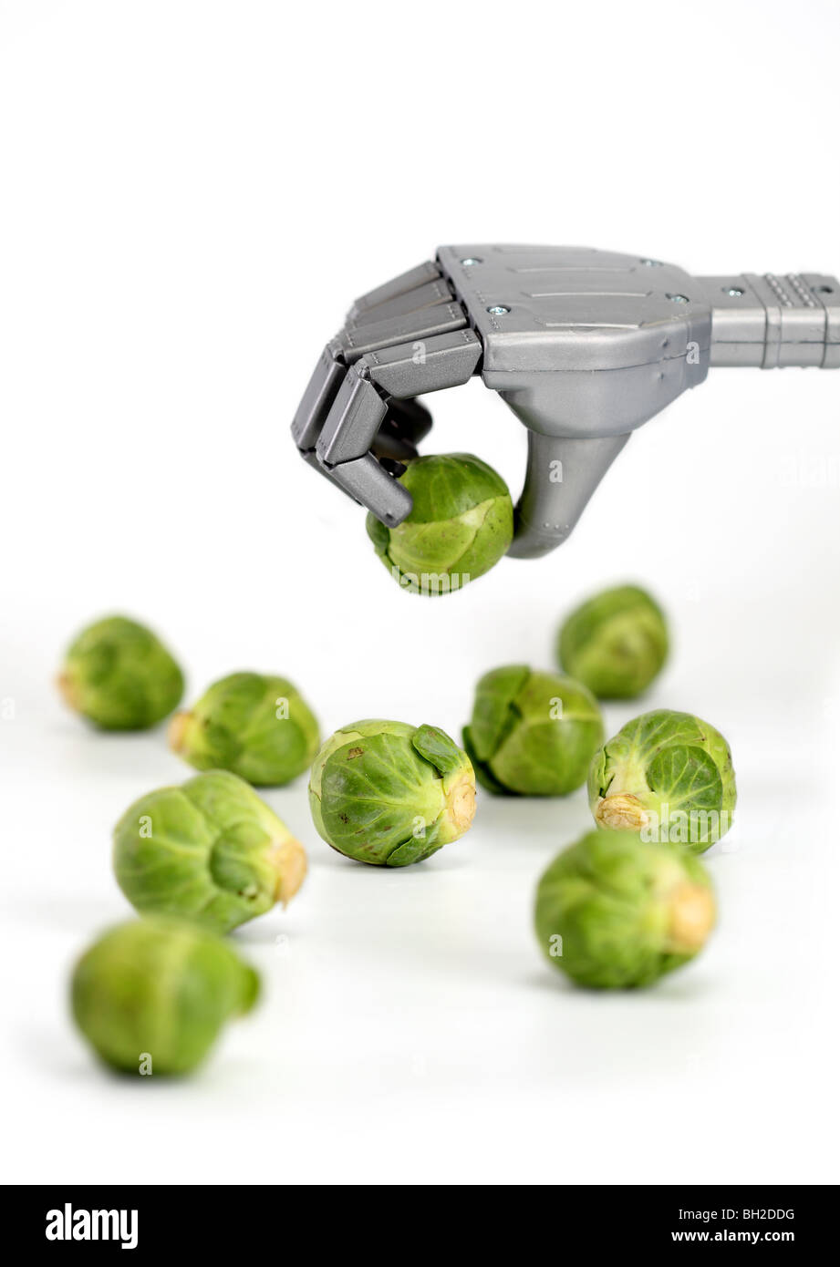 Rob green fingers hi-res stock photography and images - Alamy