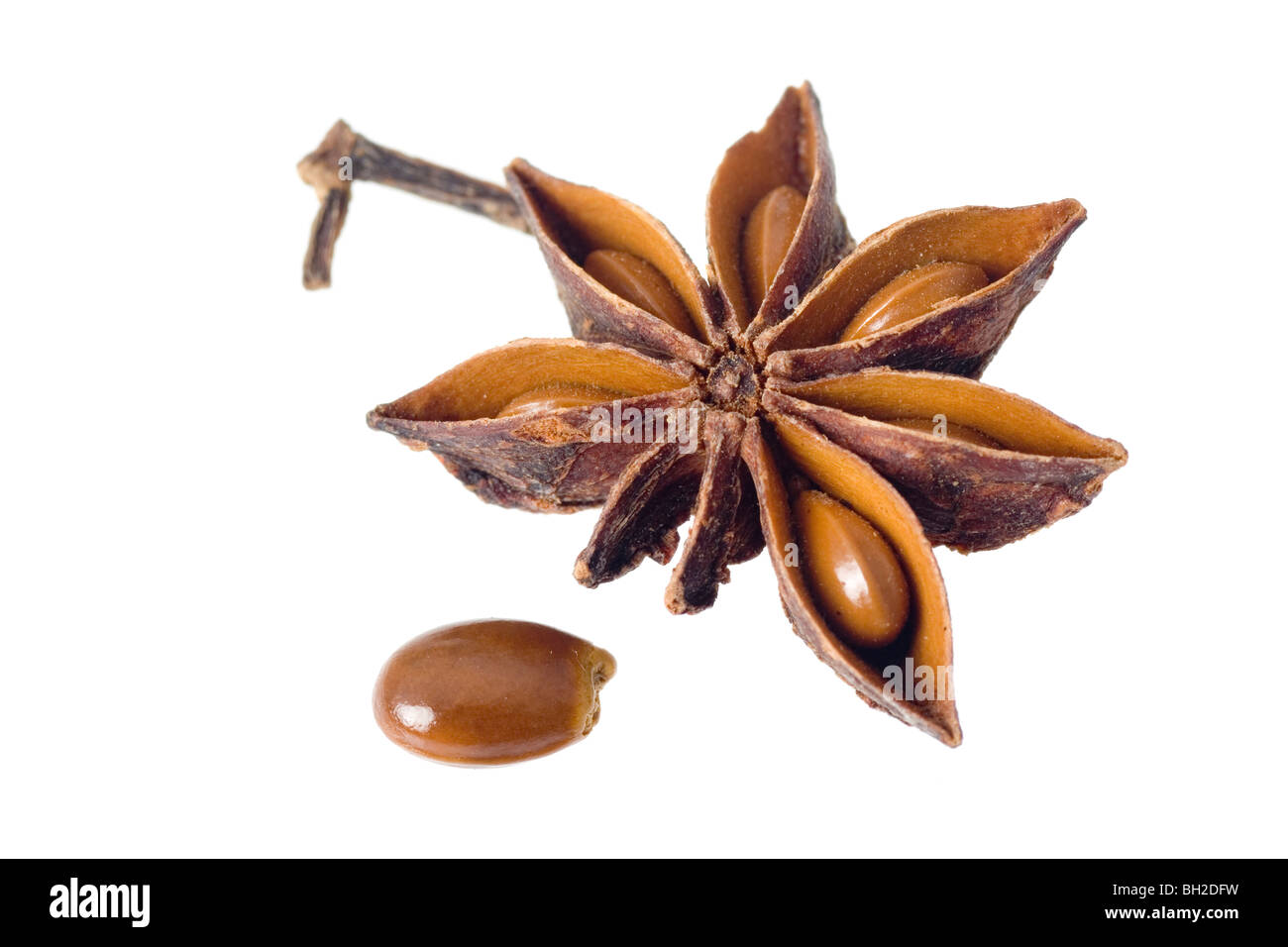 Star anise with seed isolated on white background Stock Photo - Alamy