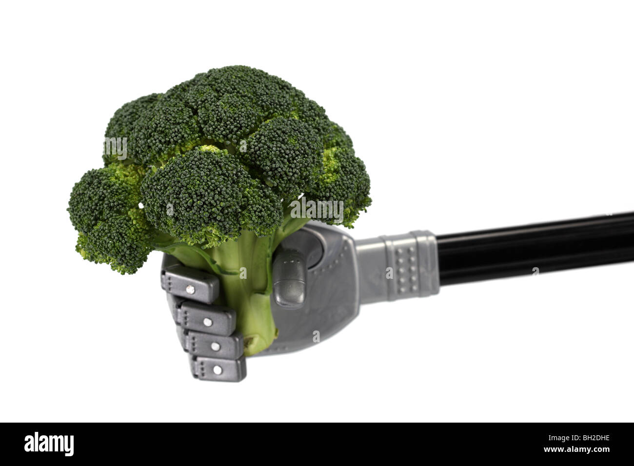 broccoli Robot grab food hand arm fingers finger hold holding delicate ...