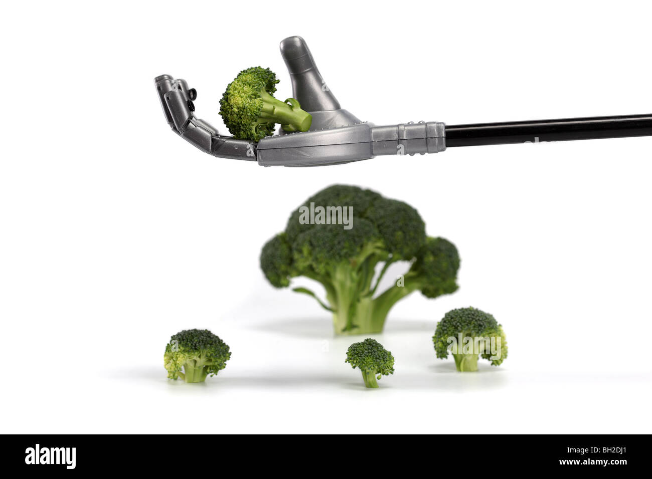 broccoli Robot grab food hand arm fingers finger hold holding delicate ...