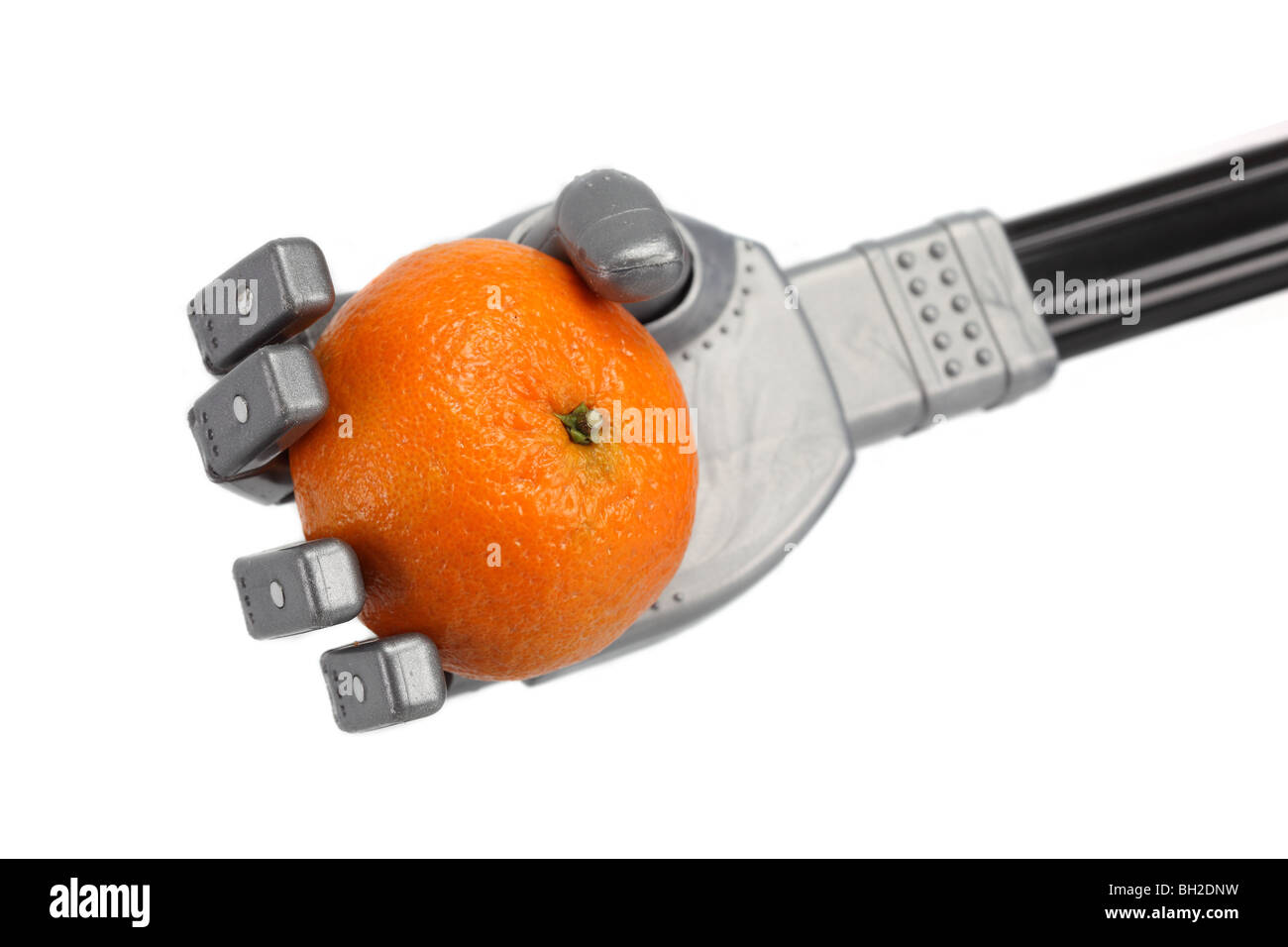 Mandarin Robot grab food hand arm fingers finger hold holding delicate ...