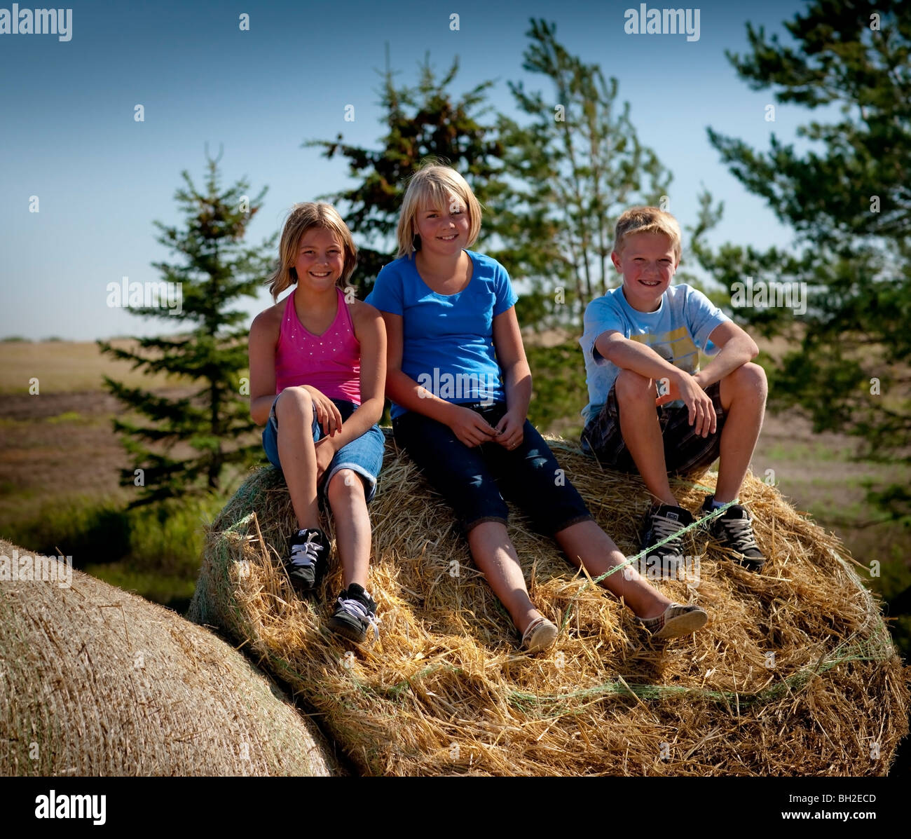 Three Tween Kids Seated On Bale, Redvers, Saskatchewan, Canada Stock ...