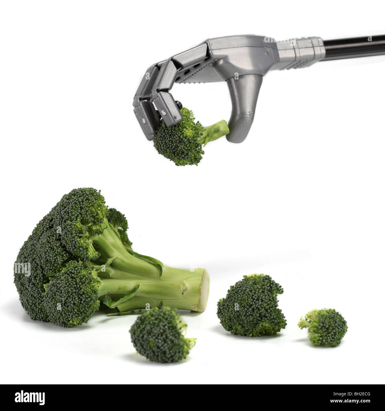 broccoli Robot grab food hand arm fingers finger hold holding delicate ...