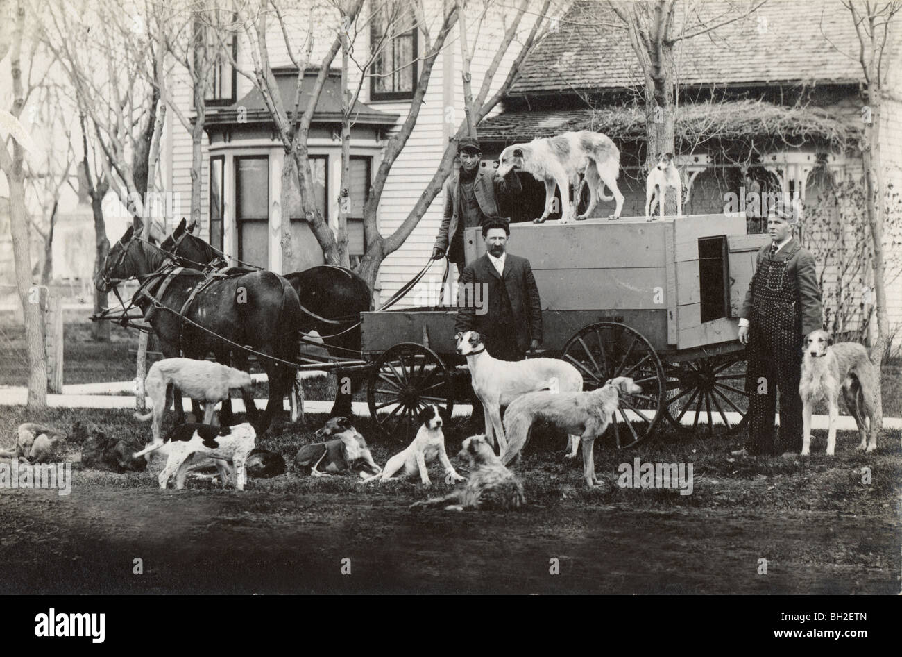 Dog Catcher Wagon Cow Catcher Cart At ₹ 190006/piece | Cattle