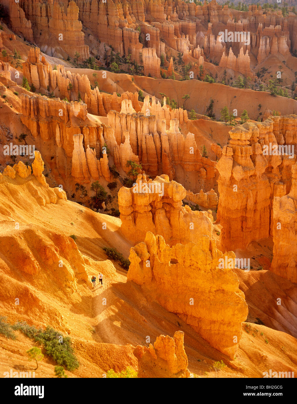 Hikers on Navajo Loop Trail below Sunset Point at Bryce Canyon National ...