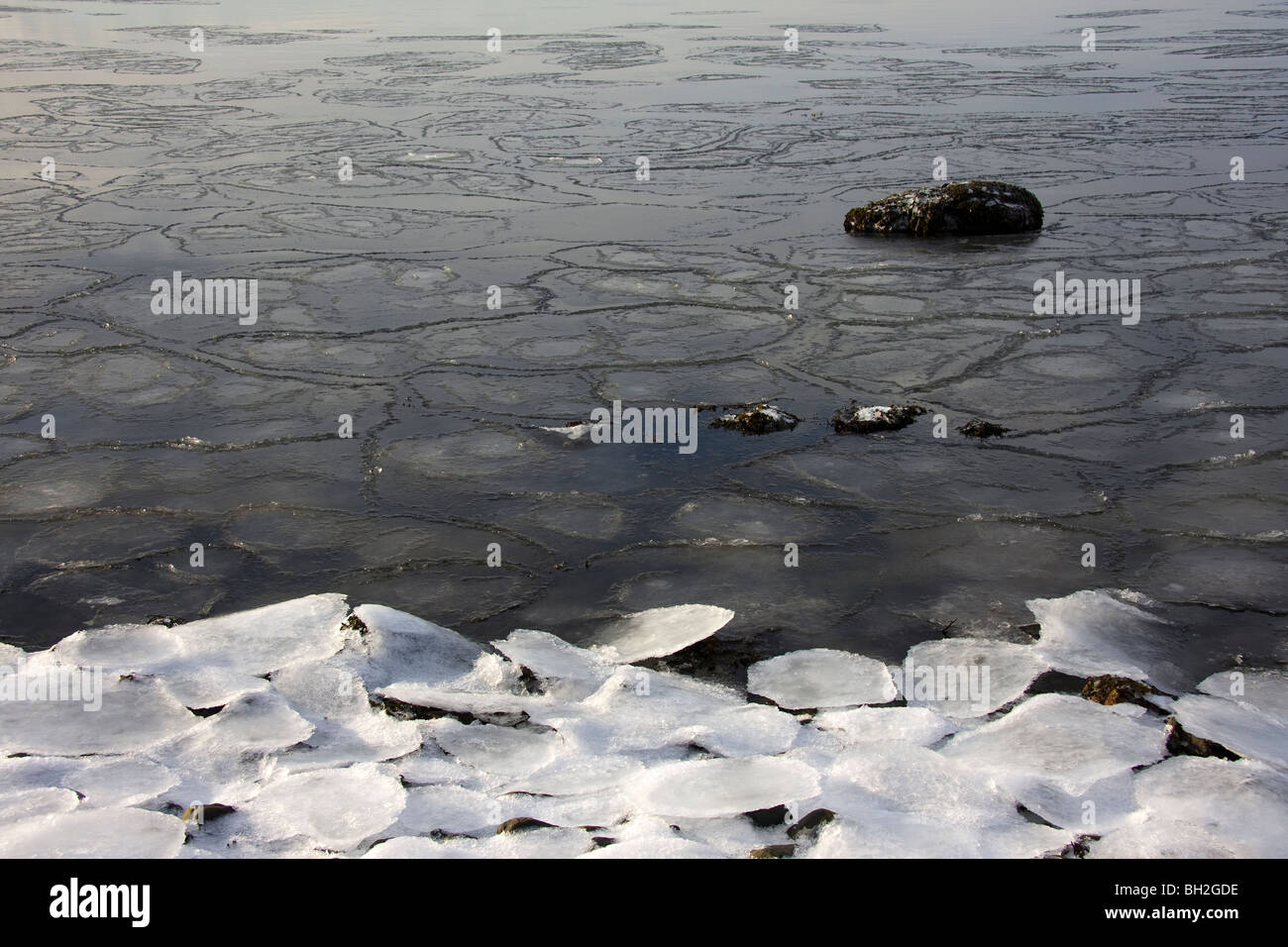 Pancake ice forming Stock Photo - Alamy