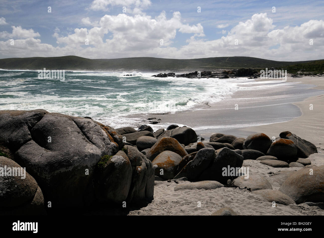 windy wind stormy day weather postberg section west coast national park ...