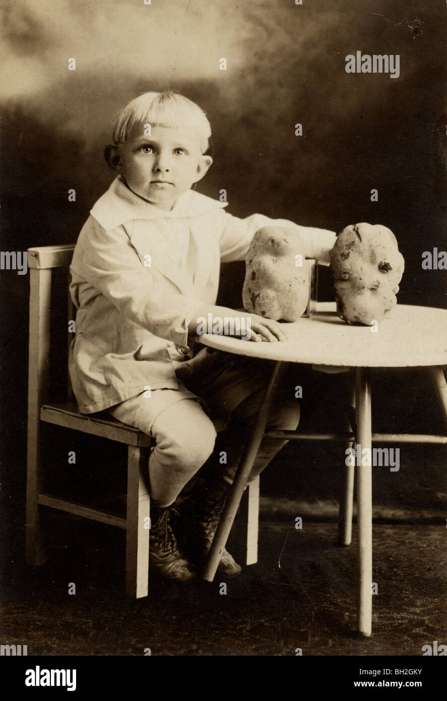 Little Boy Displaying Two Giant, Lumpy Potatoes Stock Photo - Alamy