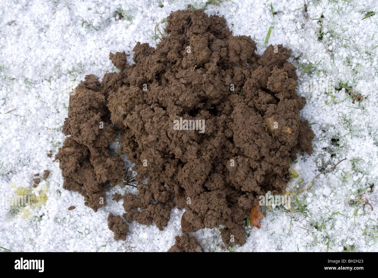 Mound of soil hi-res stock photography and images - Alamy