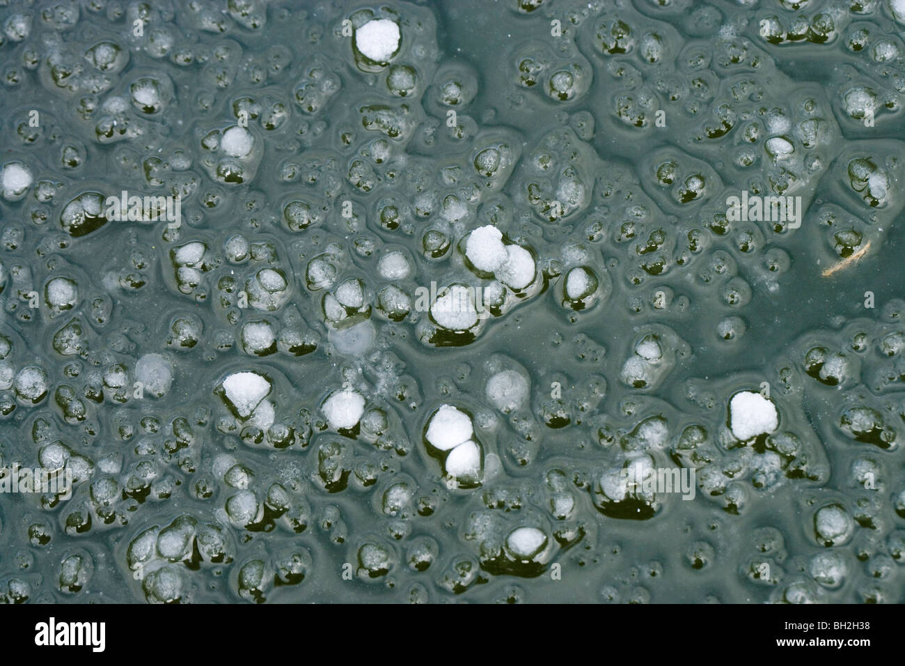Hail Stones Stock Photos & Hail Stones Stock Images - Alamy