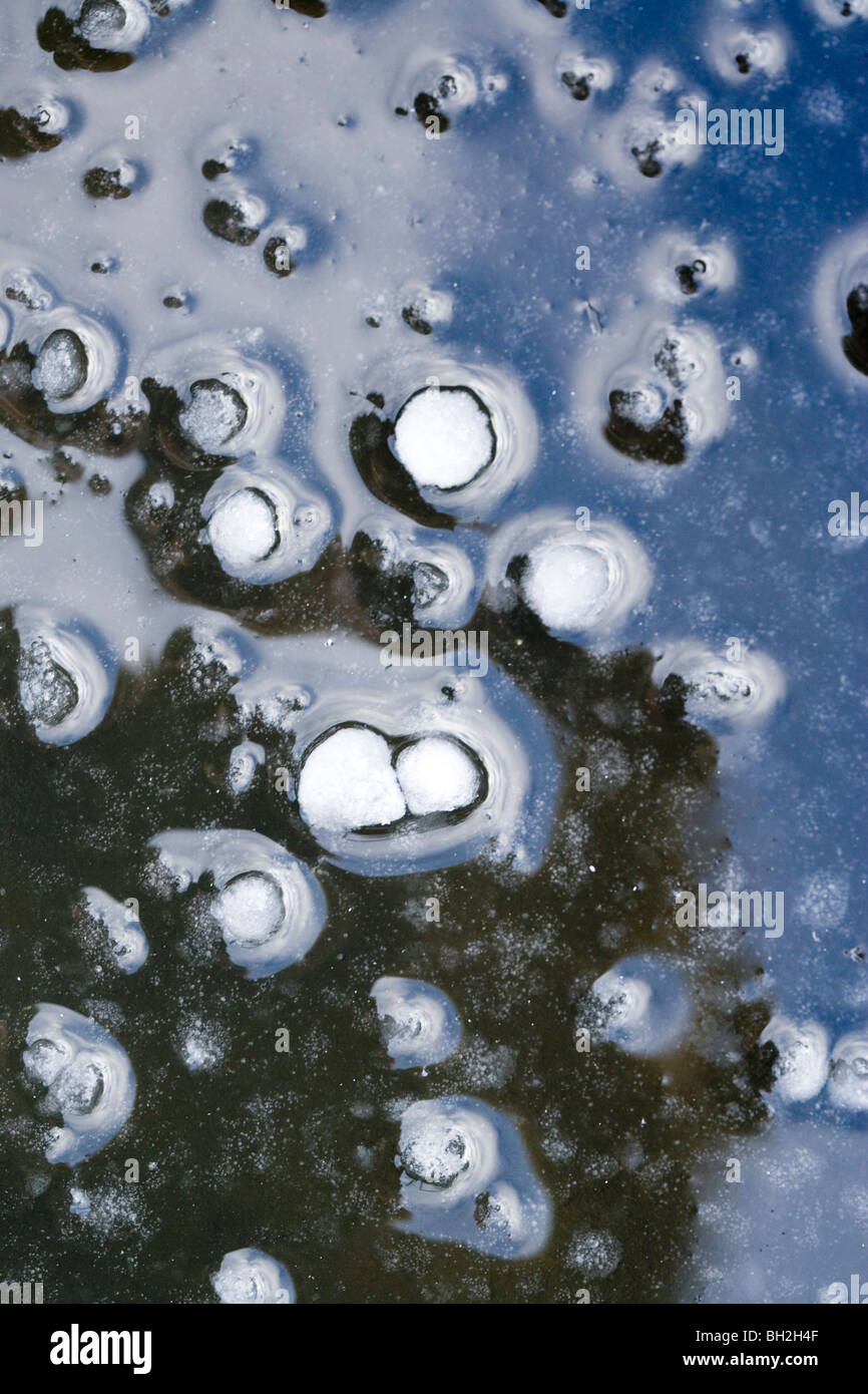 Hail; fallen and melting hail stones. Of varying sizes. January ...