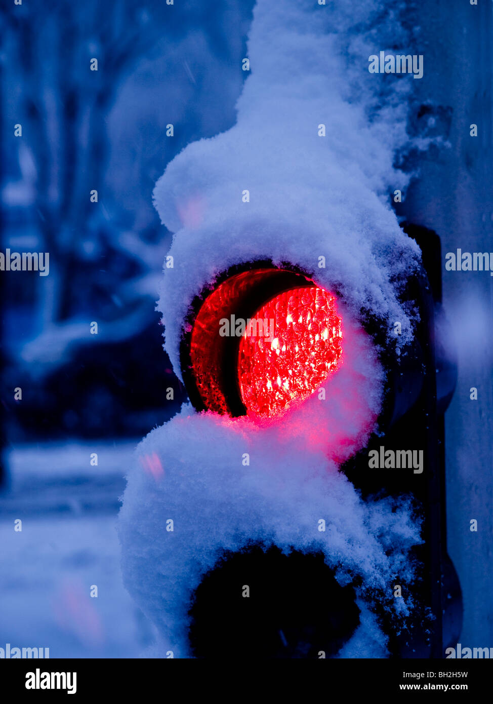 red traffic light by snowstorm Stock Photo - Alamy