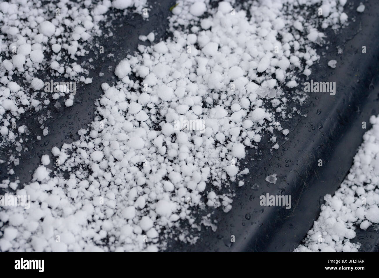 Hail stones hi-res stock photography and images - Alamy