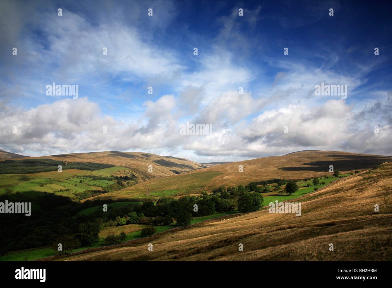 Fan llia hi-res stock photography and images - Alamy