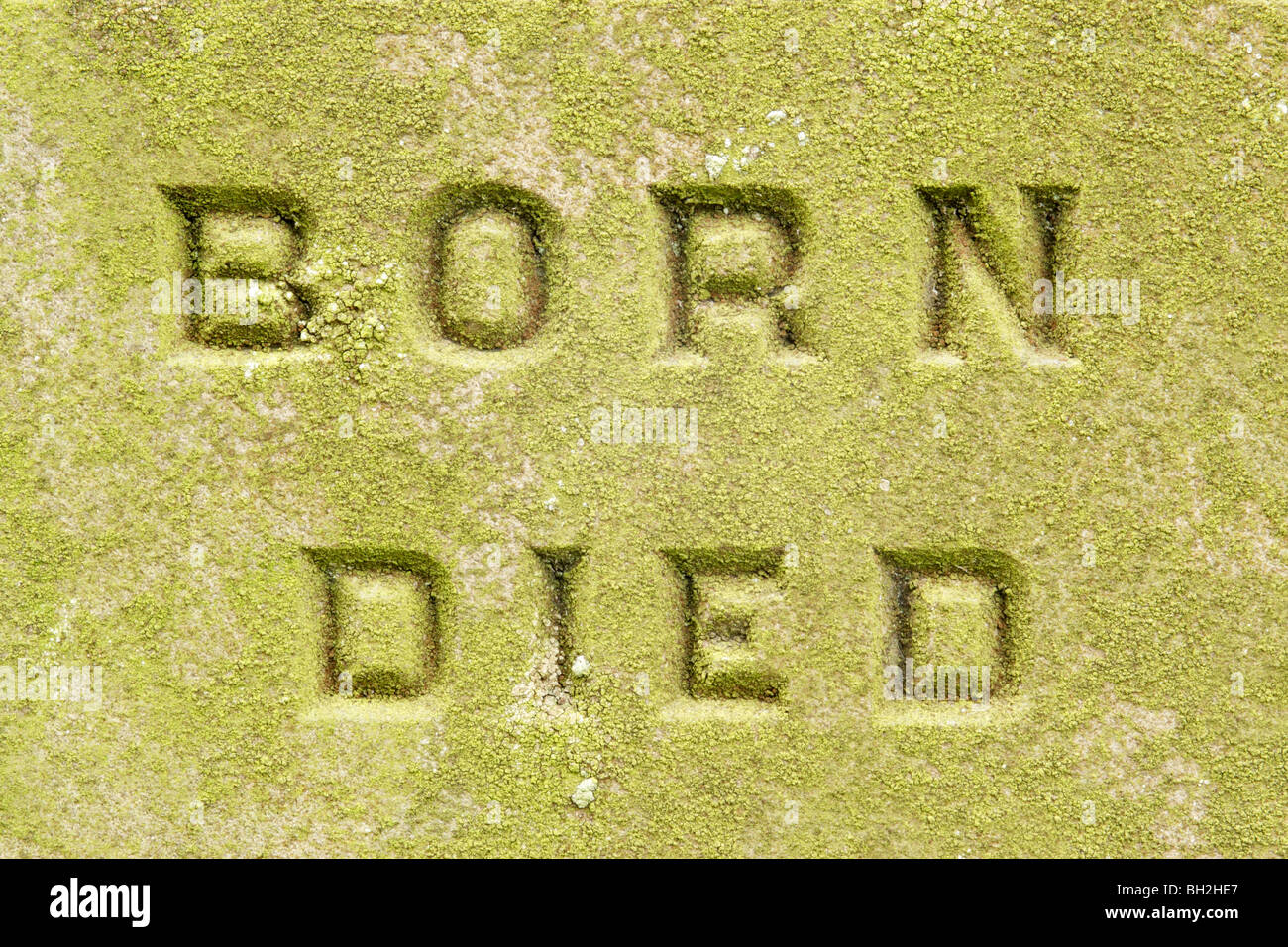 Lichen covered gravestone with the words Born and Died featured Stock ...