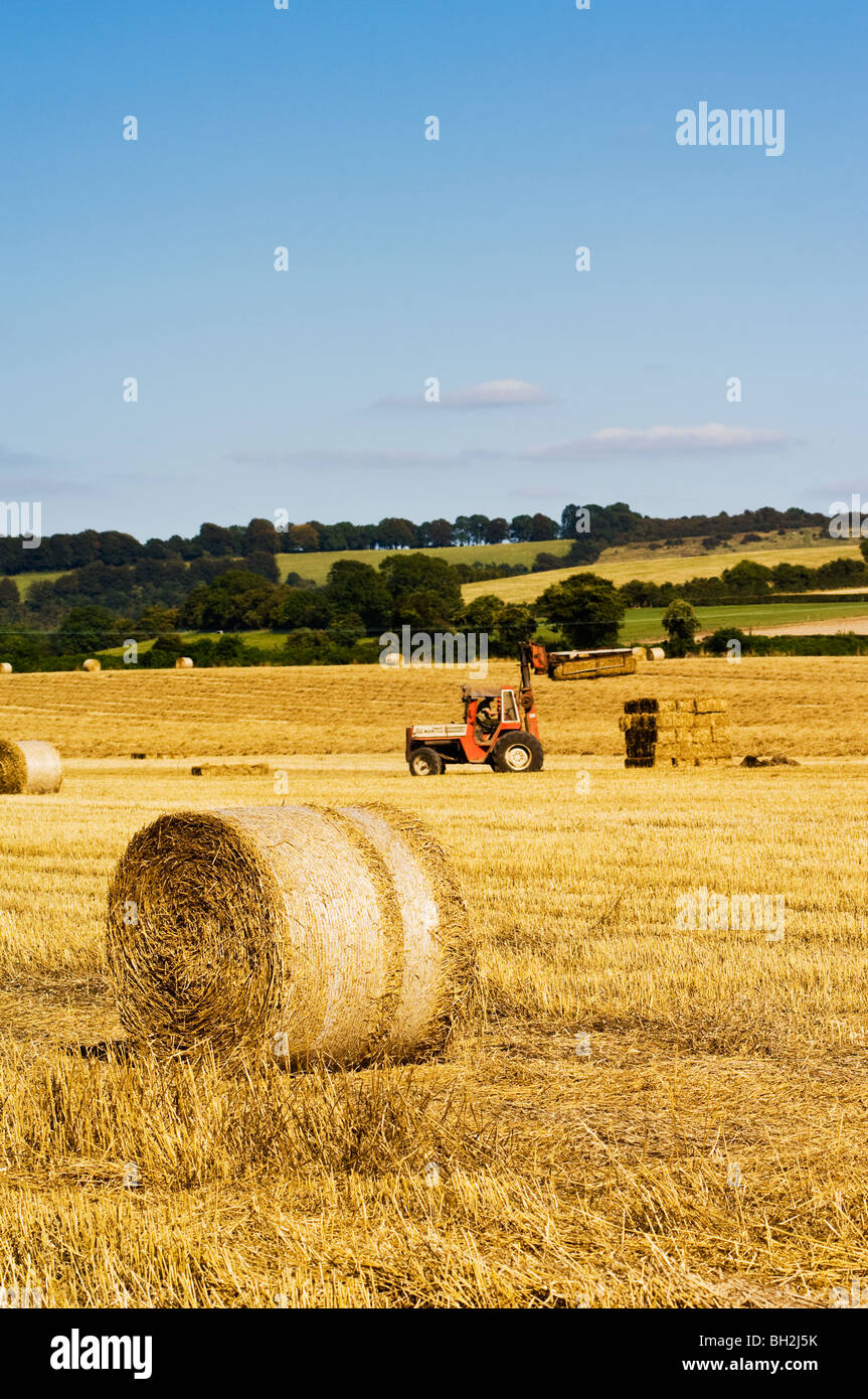 Stacking hay england hi-res stock photography and images - Alamy