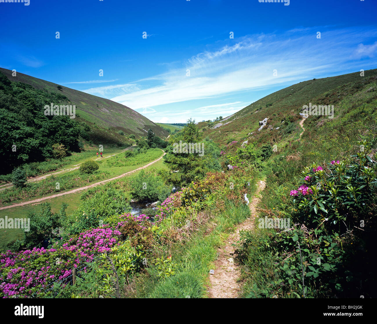 Doone valley footpath hi-res stock photography and images - Alamy