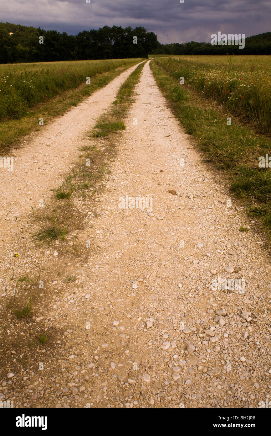 Farm track, Provence, France Stock Photo - Alamy