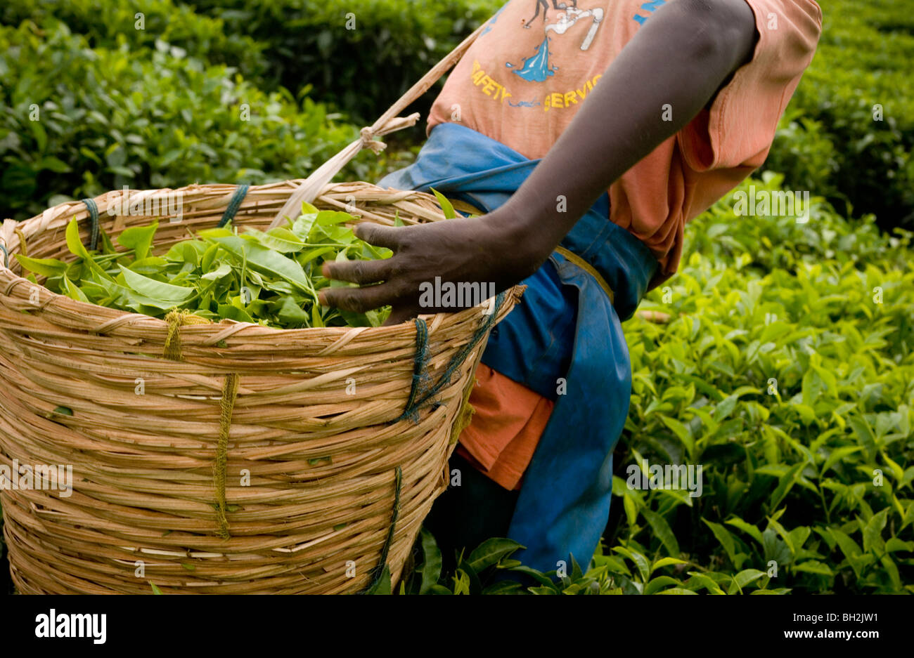 Farmers estate hi-res stock photography and images - Alamy