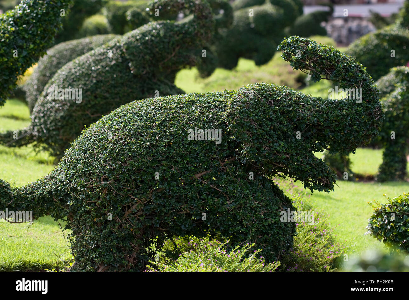 Topairy animals at the Nong Nooch Tropical Botanical Garden in Pattaya ...