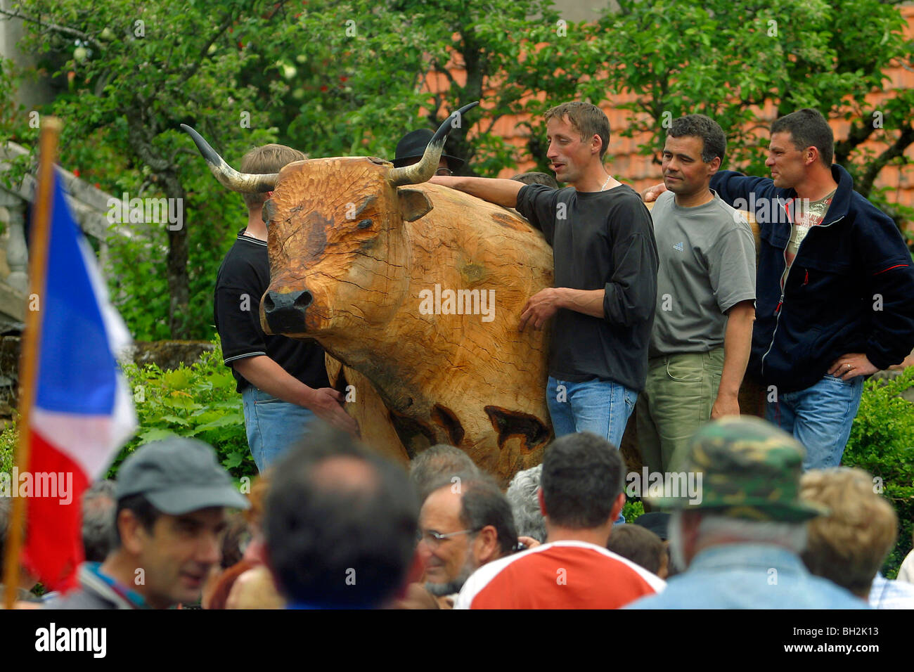 COWS OF THE AUBRAC BREED IN THE WOODS, AVEYRON (12 Stock Photo - Alamy