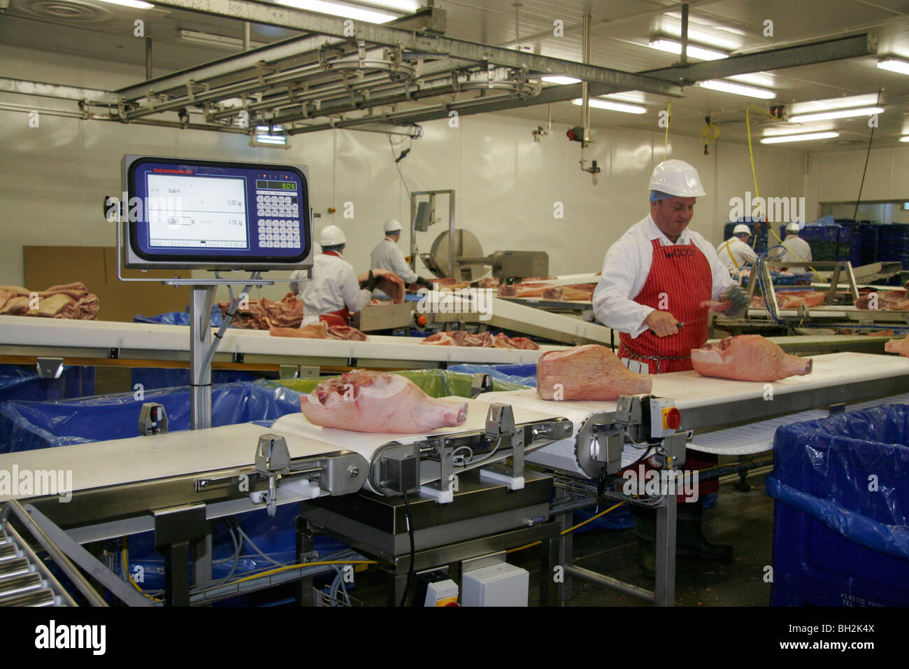Butchers cutting line in a slaughterhouse Stock Photo - Alamy