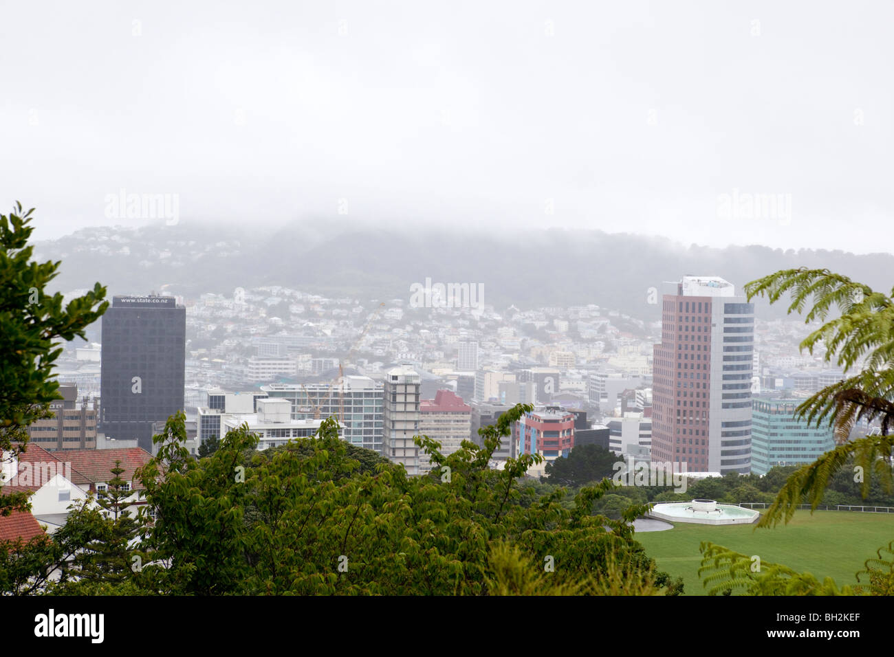 Wellington on a rainy day Stock Photo - Alamy