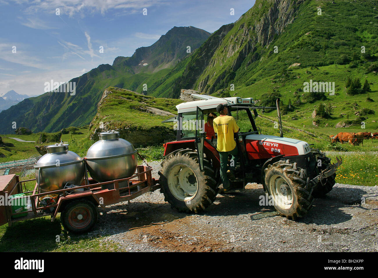 Horizontal photo milk transport on farm at the dareches hi-res stock ...