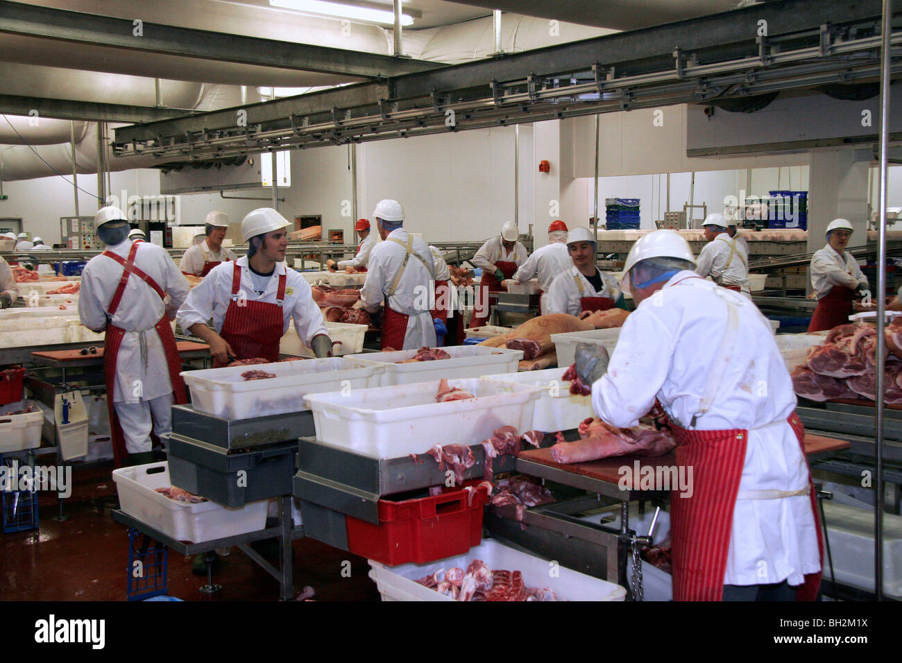 Butchery lines in a slaughterhouse Stock Photo - Alamy