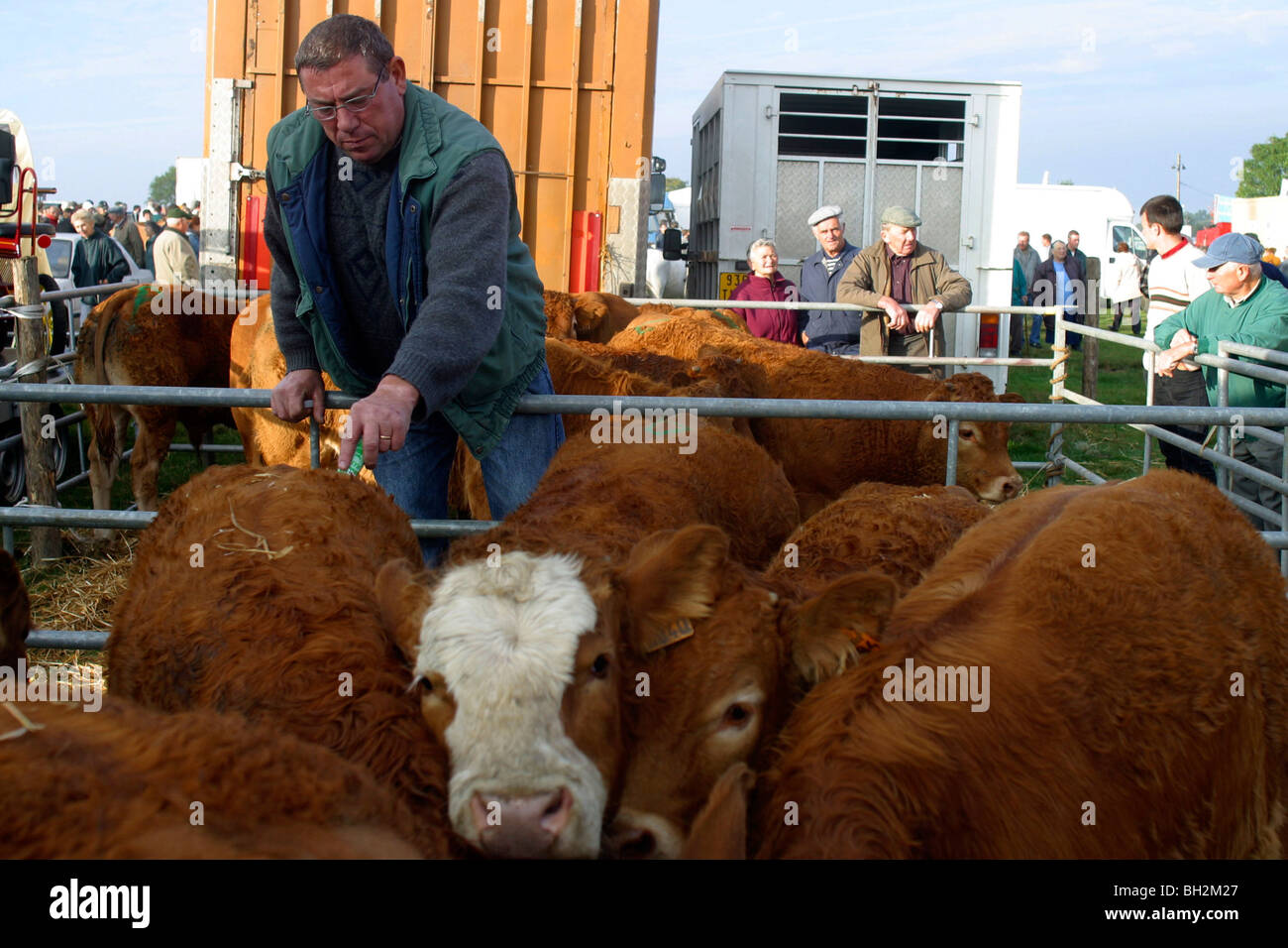 LIVESTOCK DEALERS AT THE MONTILLY FAIR, ORNE (61 Stock Photo - Alamy