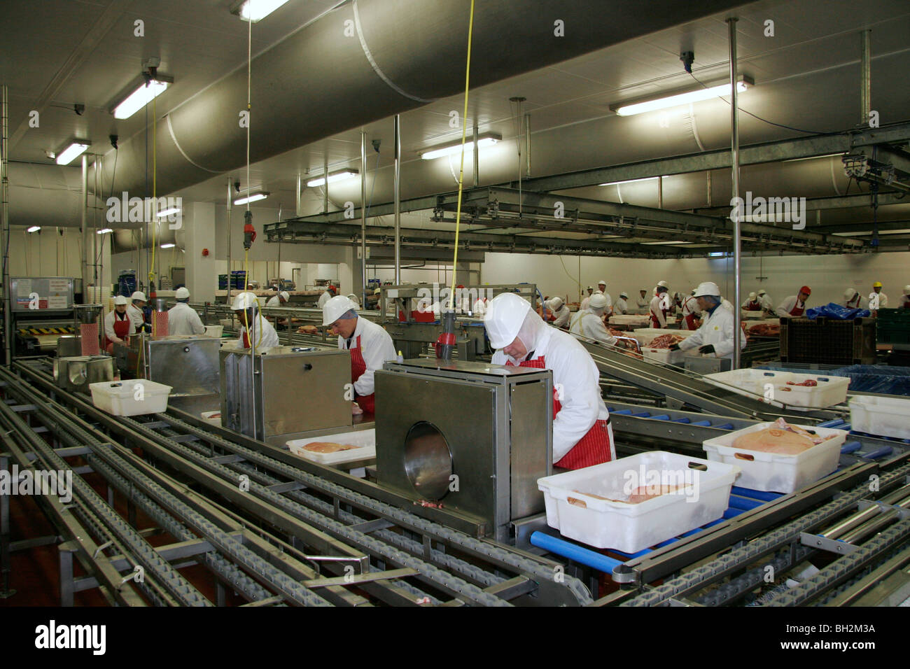 Abattoir hi-res stock photography and images - Alamy