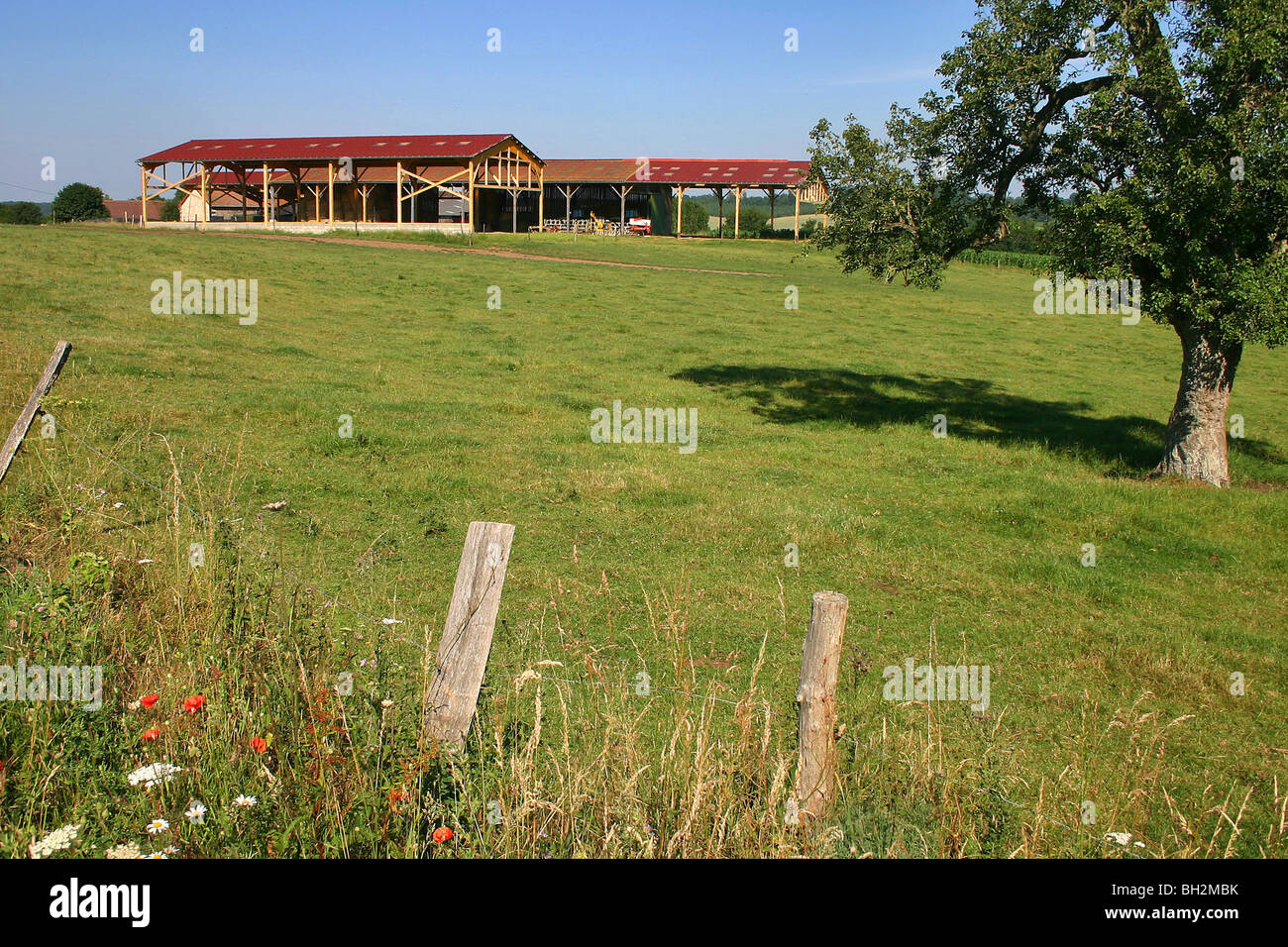 FARM BUILDING UNDER CONSTRUCTION, ORNE (61 Stock Photo - Alamy
