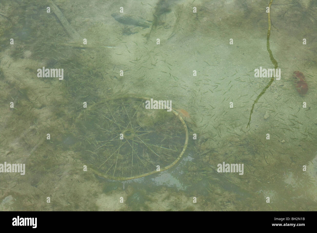 Caye Caulker, Northern Cayes, Belize Stock Photo - Alamy