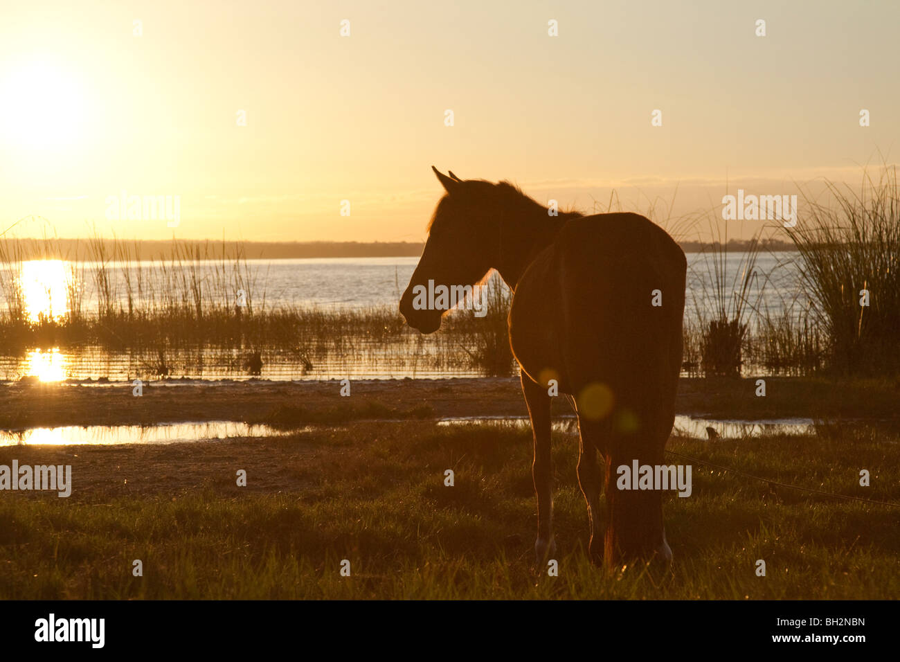 Lake Peten Itza, El Remate, Guatemala Stock Photo - Alamy