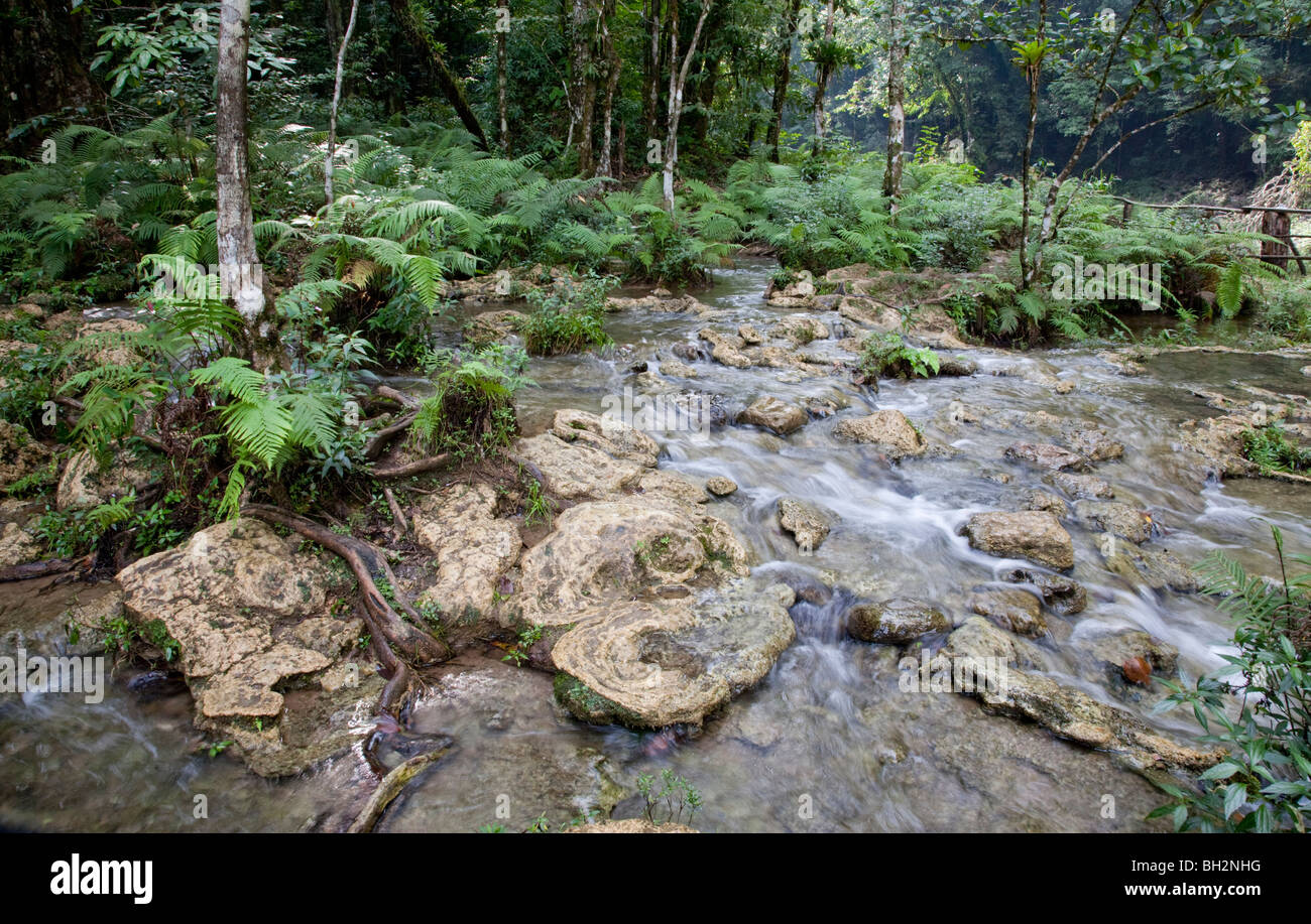 Monumento Natural Semuc Champey, Alta Verapaz, Guatemala Stock Photo ...