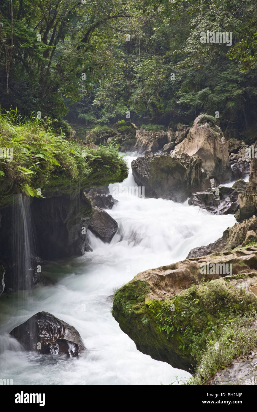 Monumento natural semuc champey hi-res stock photography and images - Alamy