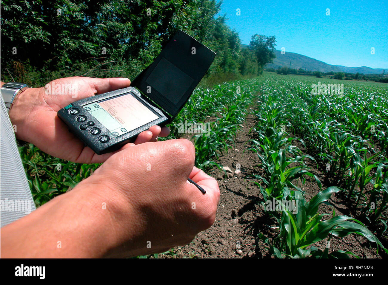 FARMER USING A COMPUTER TO MANAGE HIS CORN CULTIVATION Stock Photo - Alamy